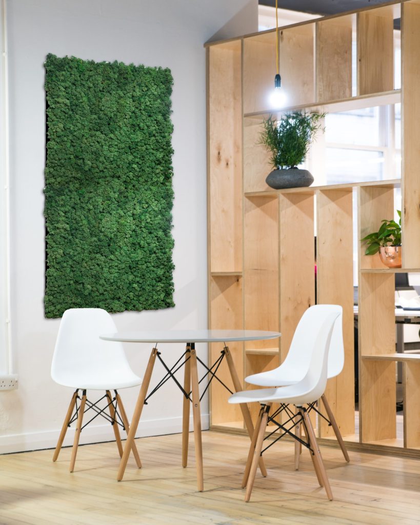 Moospaneele | Natürliche Ästhetik - WoodUpp